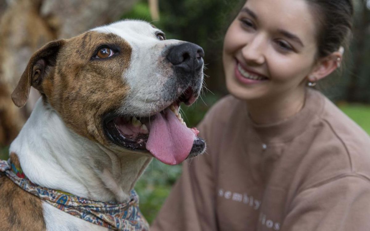 Pet projects last forever - TAFE MEDIA